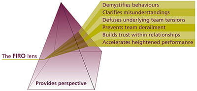 Combining Coaching Tools MyersBriggs FIRO Assessments | The Myers ...